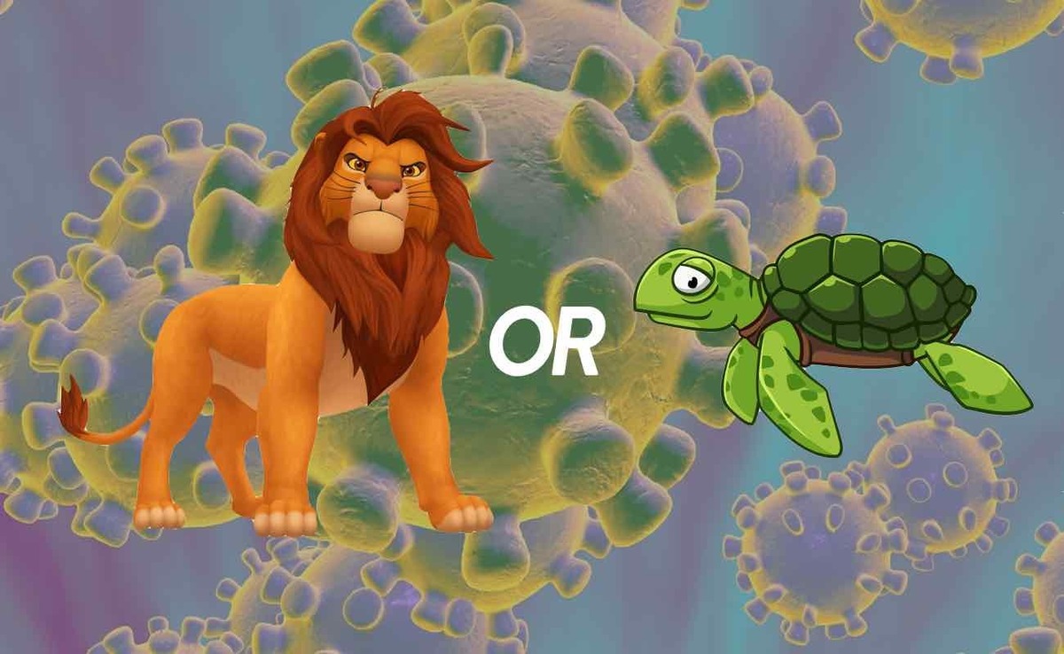 Be Lions In A Time Of Turtles | Get Clear